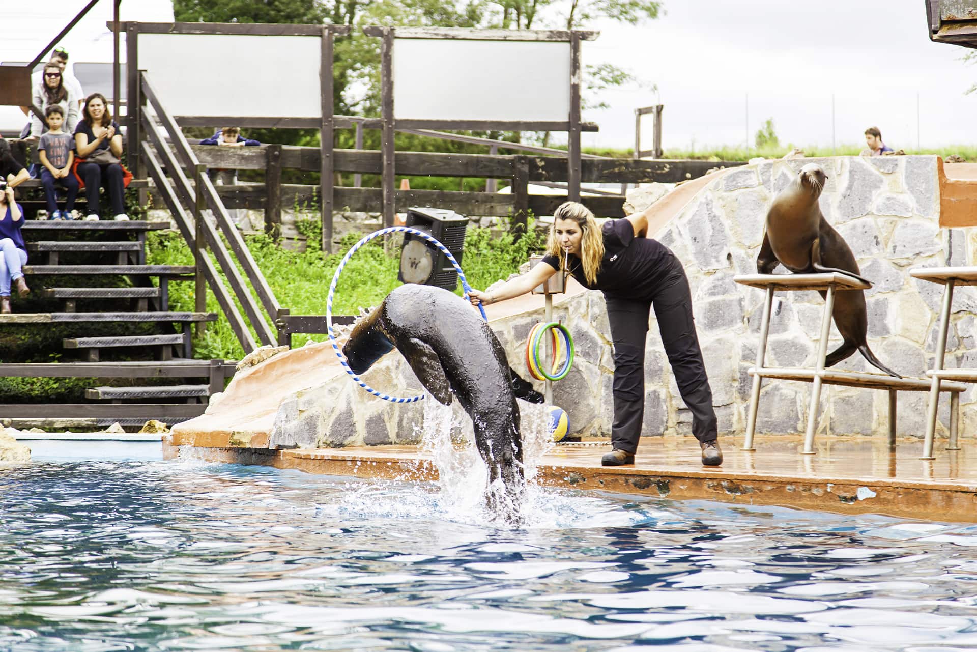 Concept Design & Review for Zoos & Aquariums | MAT ZOOS