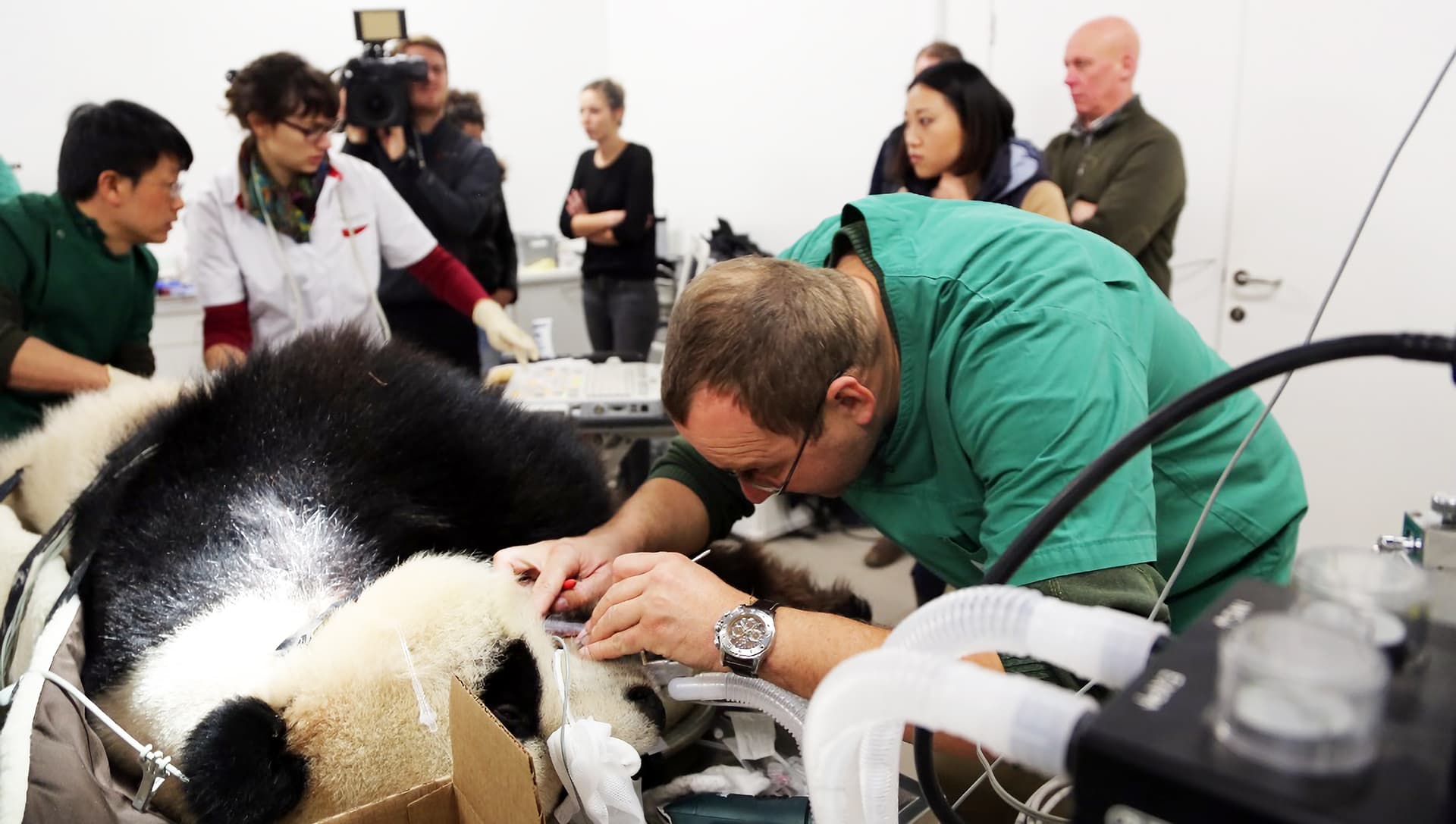 Veterinary Services for Zoos & Aquariums | MAT ZOOS